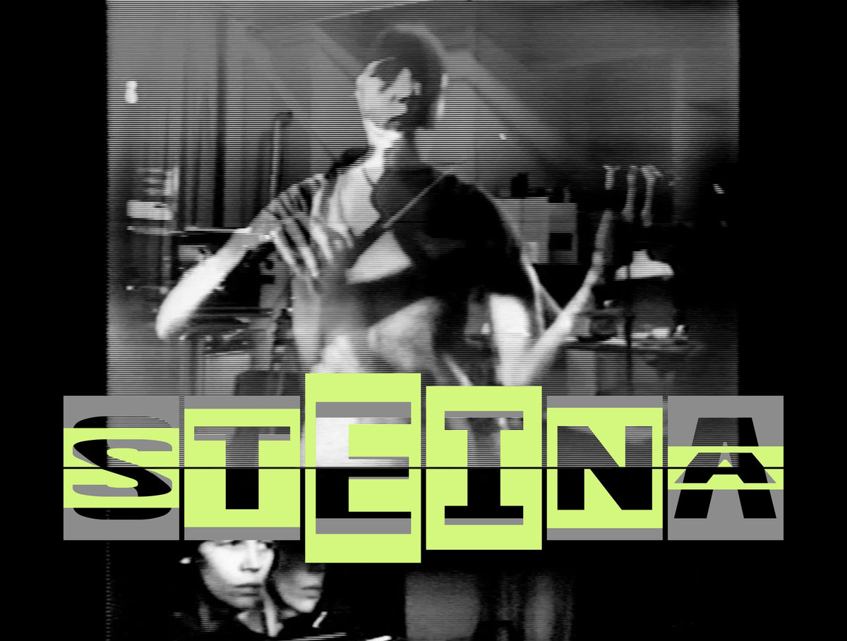 Steina Vasulka | Listasafn Íslands